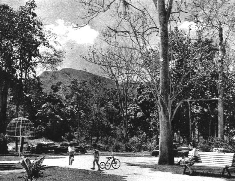 1948• Parque Codazzi, Prados del Este | Fundación Arquitectura y Ciudad